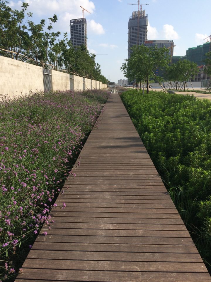 Rain Gardens in Xuhui Runway Park – Sasaki