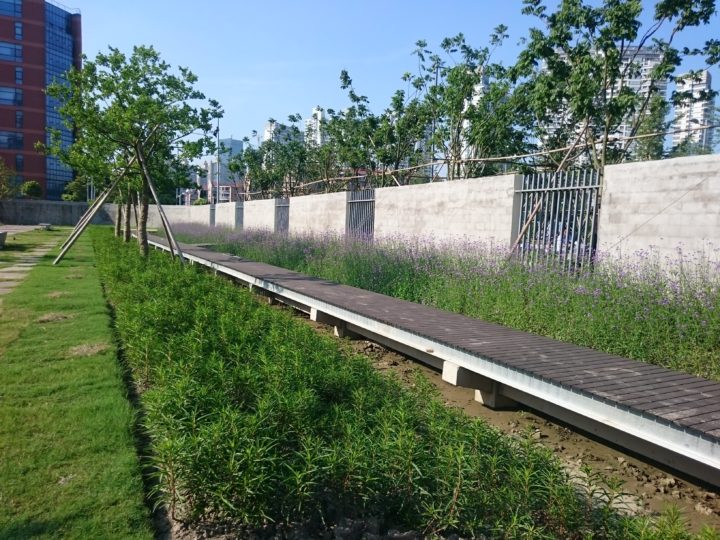 Rain Gardens in Xuhui Runway Park – Sasaki