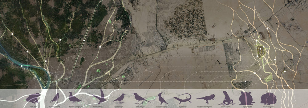 SODIC East Master Plan & Design Guidelines – Sasaki