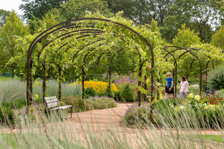 Cantigny Park Garden and Landscape Improvements – Sasaki