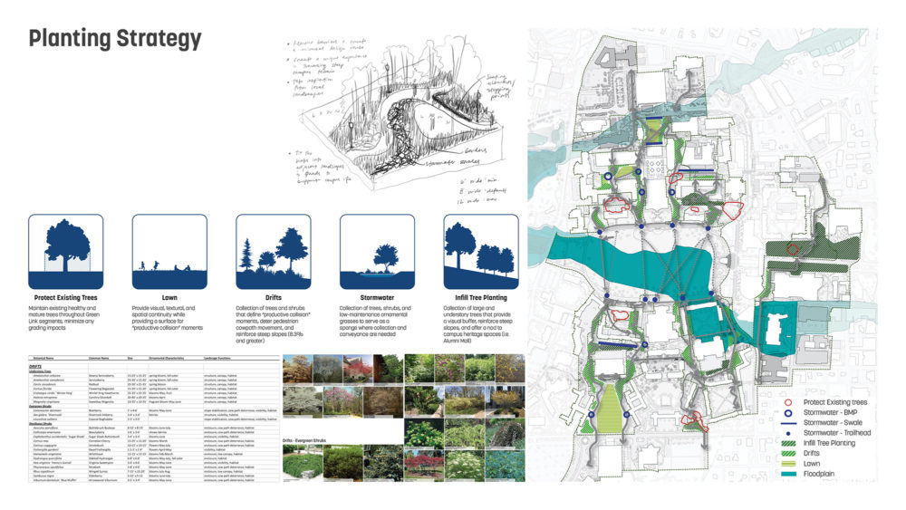Virginia Tech Infinite Loop and Green Links – Sasaki