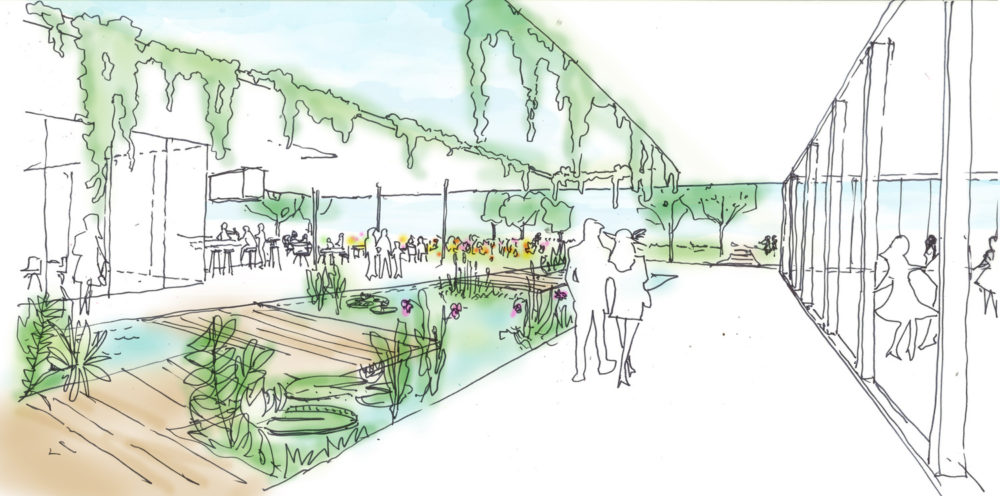 Bonnet Springs Park: From Sketch to Construction – Sasaki