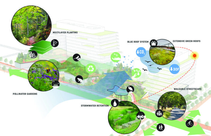 D&E Street Development Competition – Sasaki