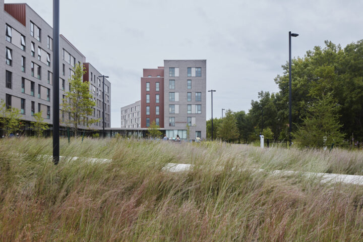 Enabling Synergies: Integrating Ecology with Landscape Architecture in Design Practice – Sasaki