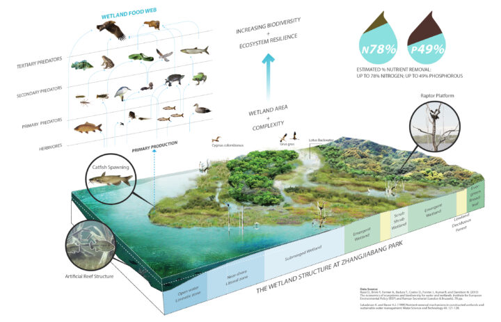 Enabling Synergies: Integrating Ecology with Landscape Architecture in Design Practice – Sasaki