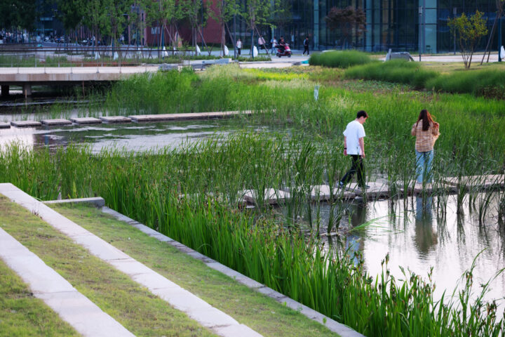 Xinyang University South Bay Campus Gateway Landscape – Sasaki