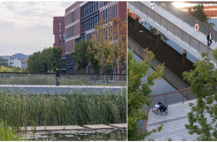 Xinyang University South Bay Campus Gateway Landscape – Sasaki